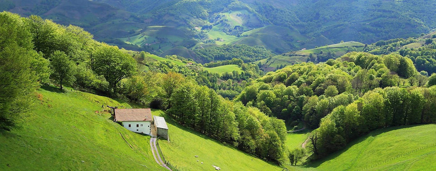 Иван Шулепов