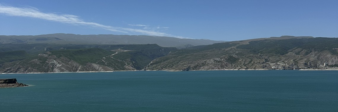 Алина Булка