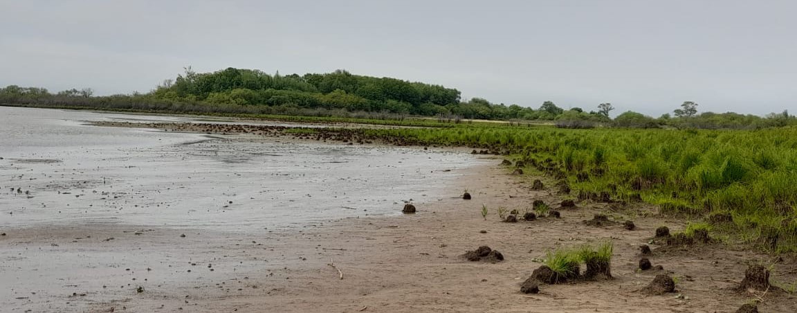 Трофеи Амура