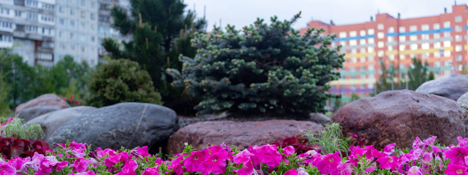 Сертолово on-line