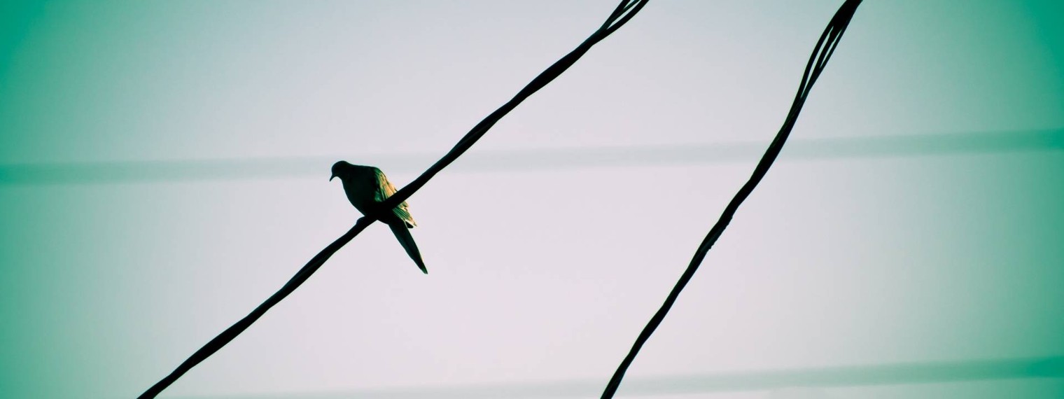 "Простая Гитара"  Александр Соловьев