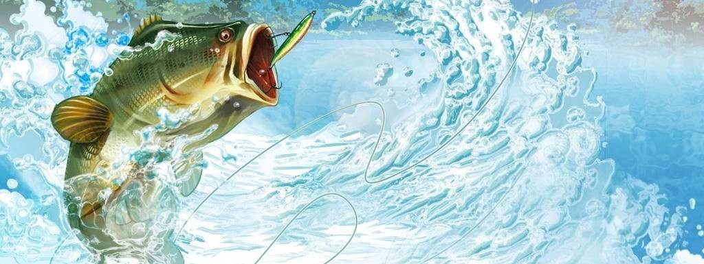 МОЯ РЫБАЛКА