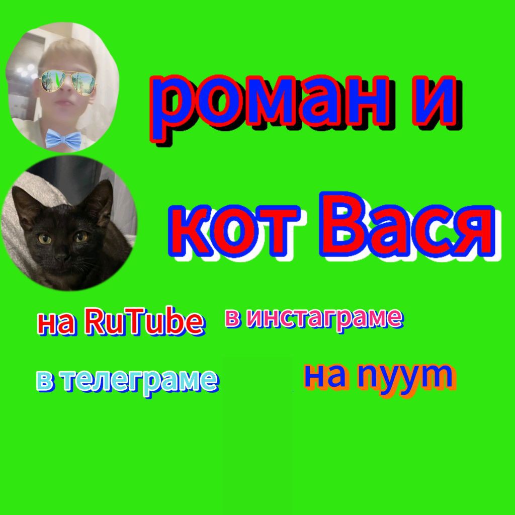 Кот Вася