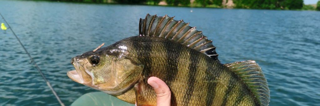 АлексеевкаCITY