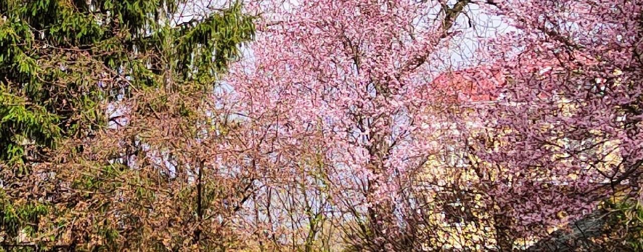 Мой Красочный Мир