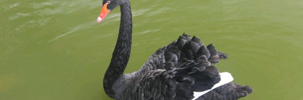 Сергей Сулоев.(Тунгус из Ярославля.)