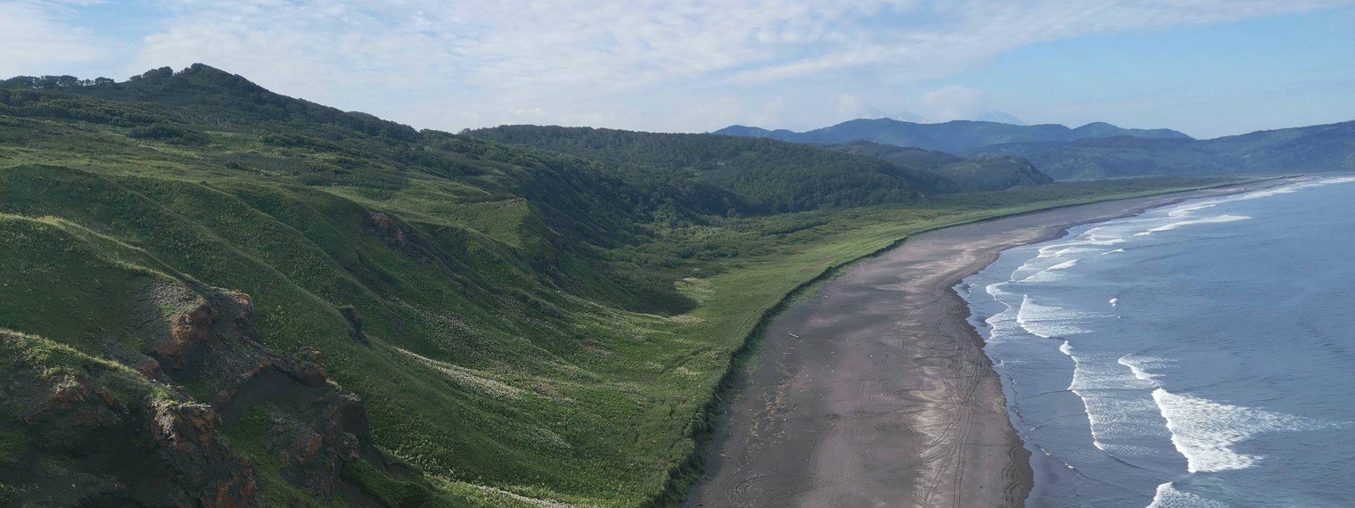 Рысь В Ботах