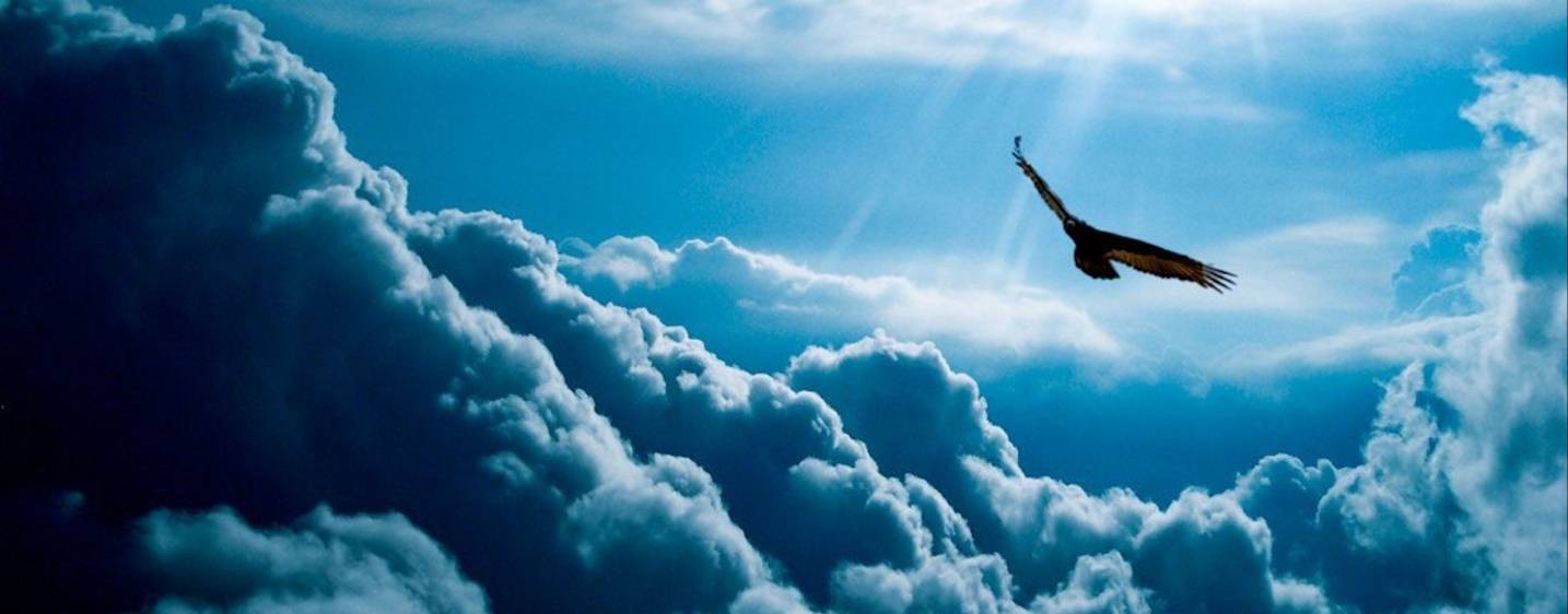 𝑆_𝐷𝑒𝑙𝑓