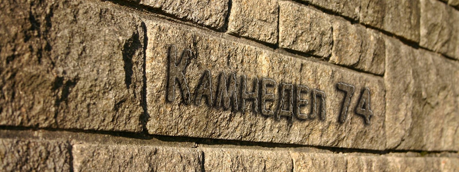 Камнедел74