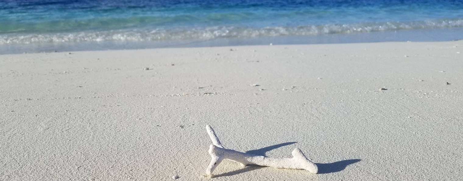 ПУТЕШЕСТВИЯ