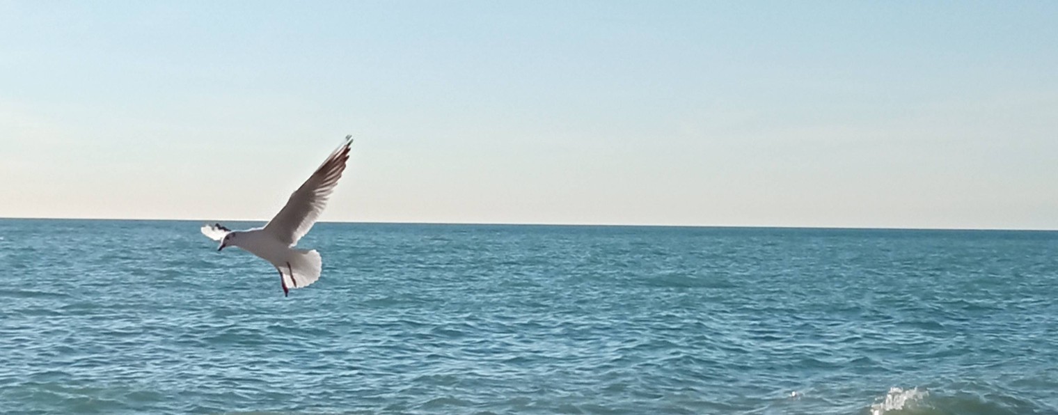 НОВОСТРОЙКИ ПОБЕРЕЖЬЯ