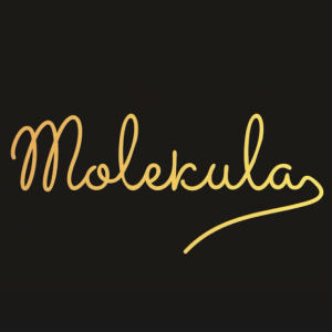 Molekula News