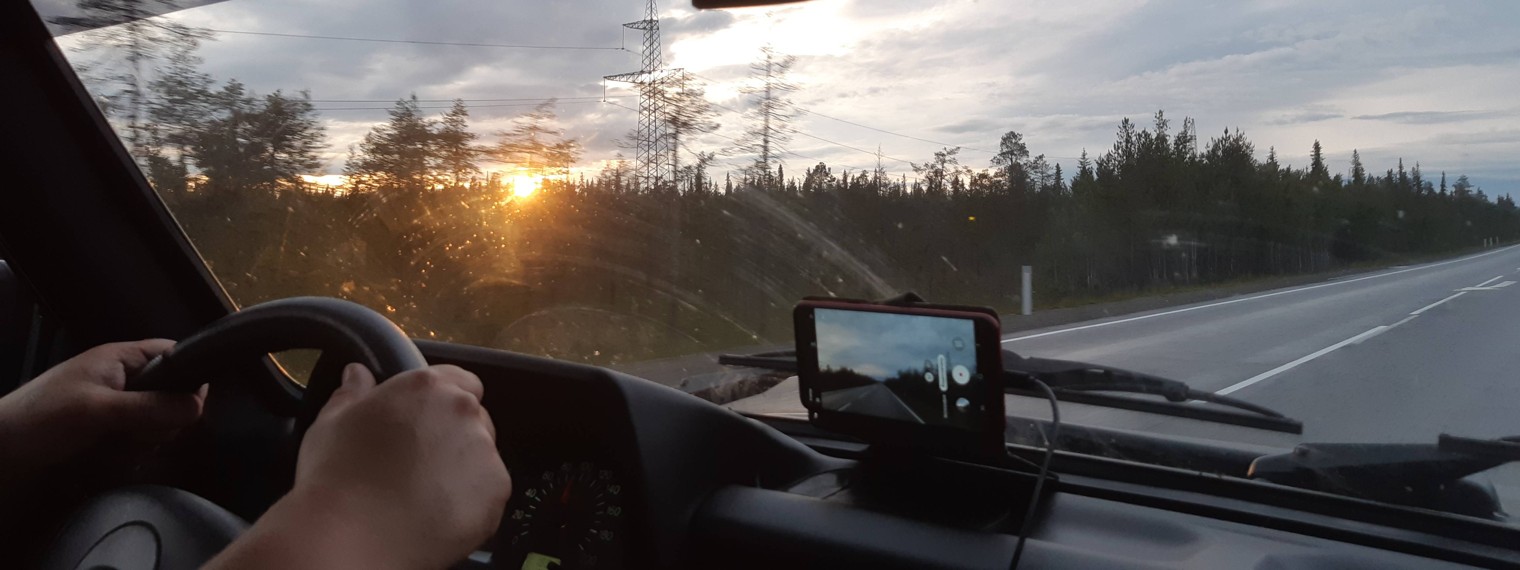 Бородатый крокодил