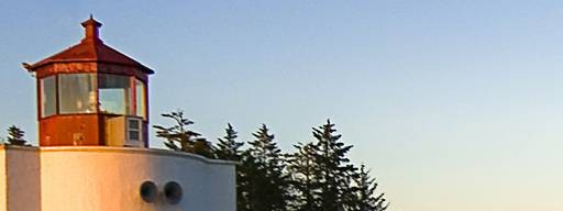 channel24838818 Модели электроники