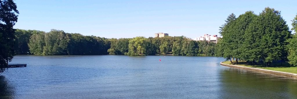 Андрей Гамола