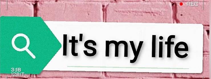 it's my life vlog