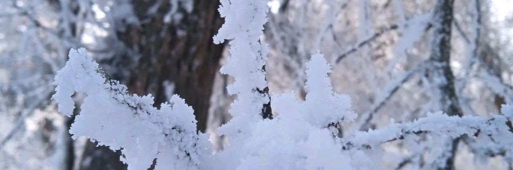 Целитель Богодухов