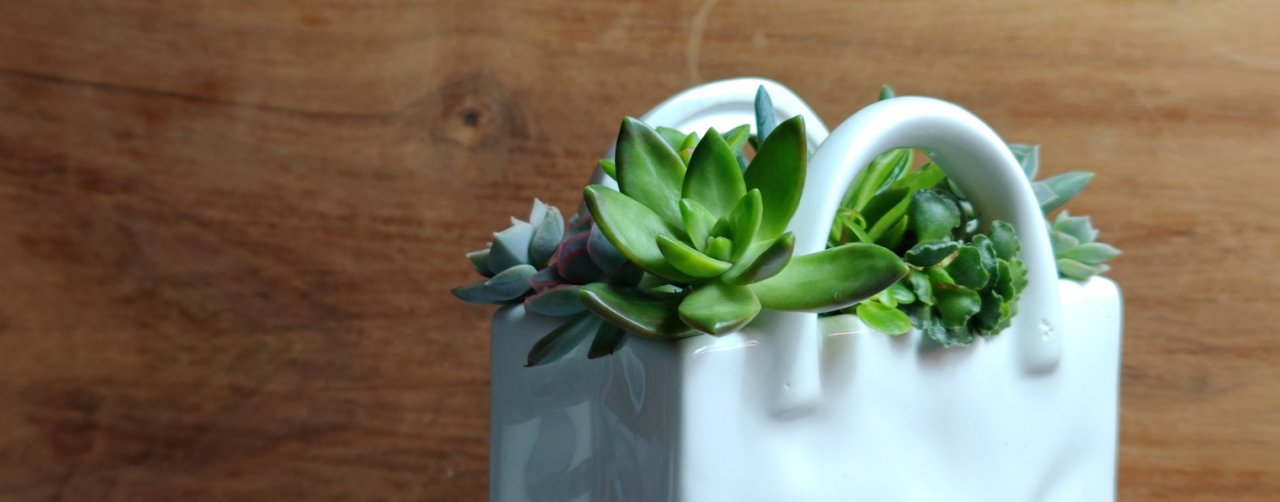 Не было у бабы забот...