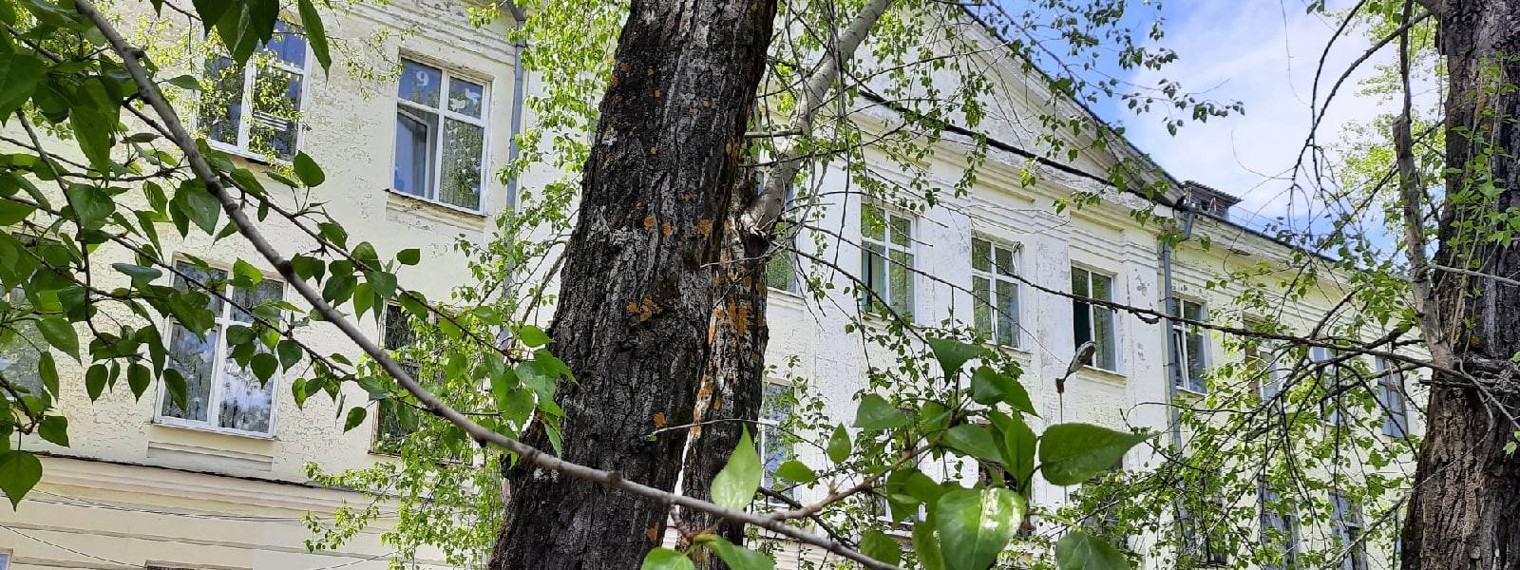 Школа 27 Архангельск