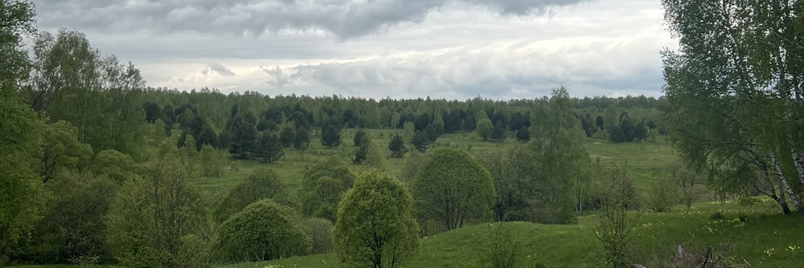 Дмитрий Ануфриев | Психолог