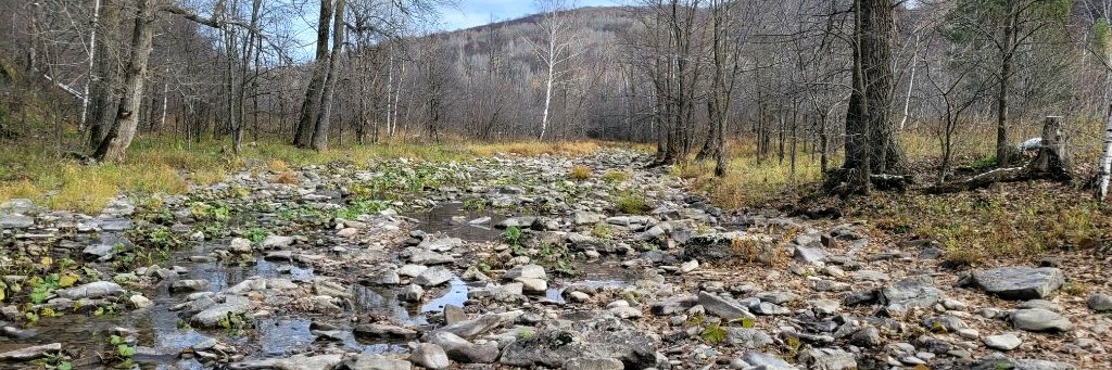 Михаил Николаевич