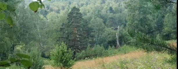 Пенсионерствую.