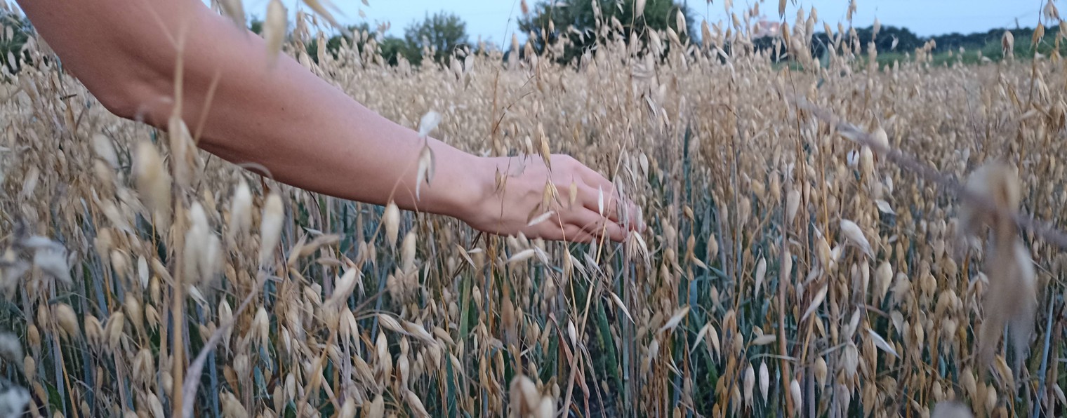 Мысли вслух