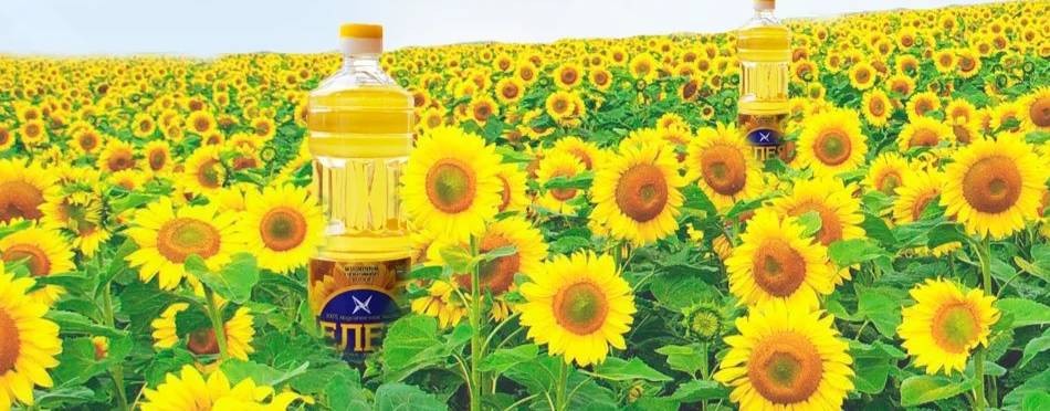 OOO "ЗВЕЗДА" МАСЛОЗАВОД