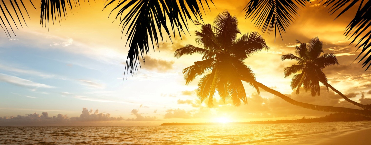 Bobrionius Production