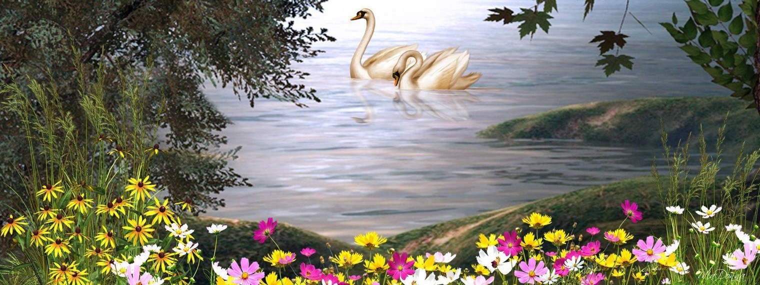 Усадьба Life TV