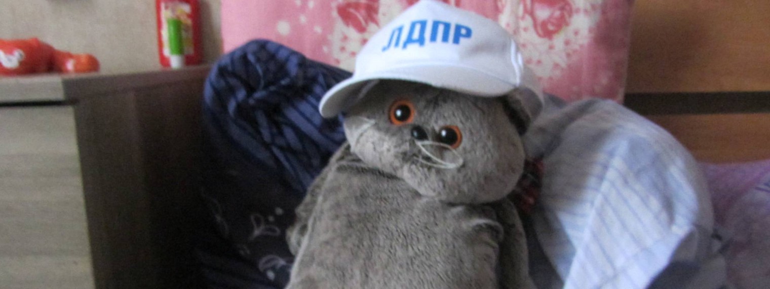 Кот Компот