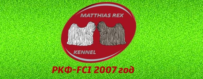 Пули, венгерская овчарка. Питомник Матяш Рекс