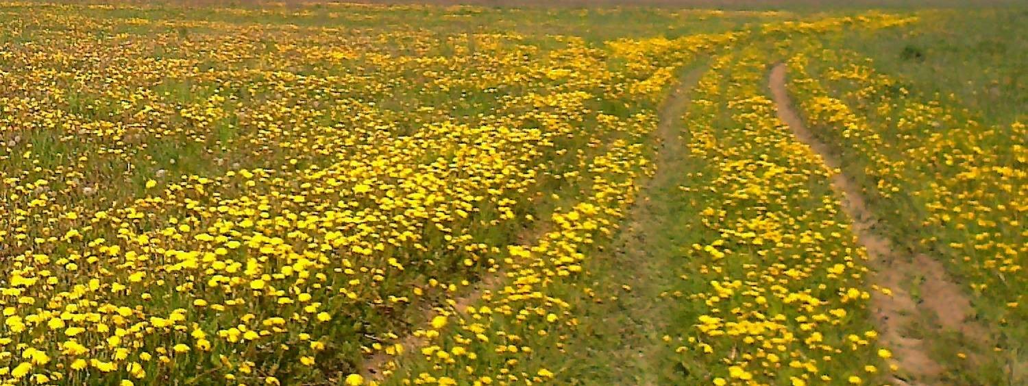 Сергей 27157543