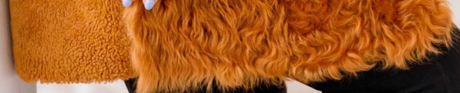 OlimpiyaShop.ru