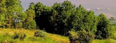 Росприроднадзор Пенза