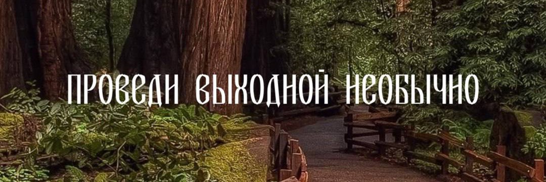 Эхо Леса