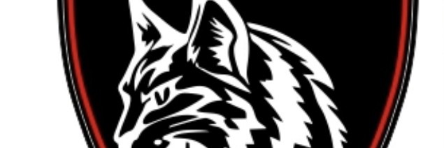 «ДОПРИЗЫВНИК"