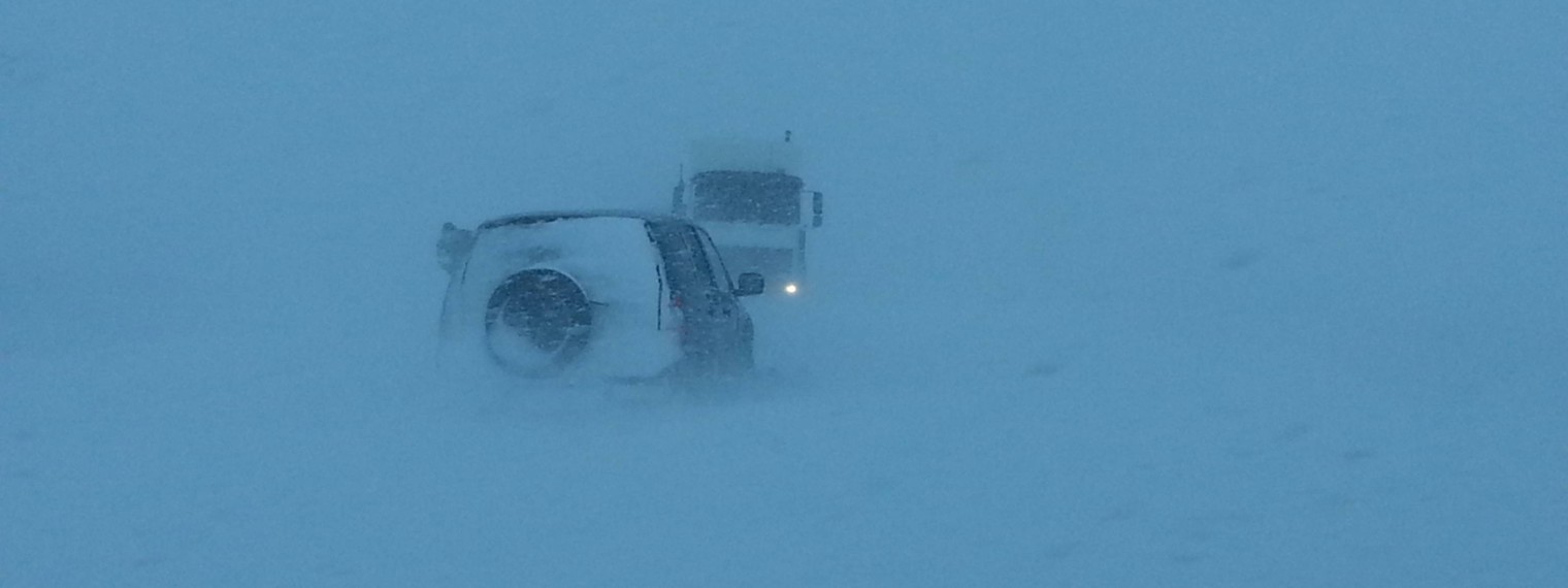Путилов Владимир А.