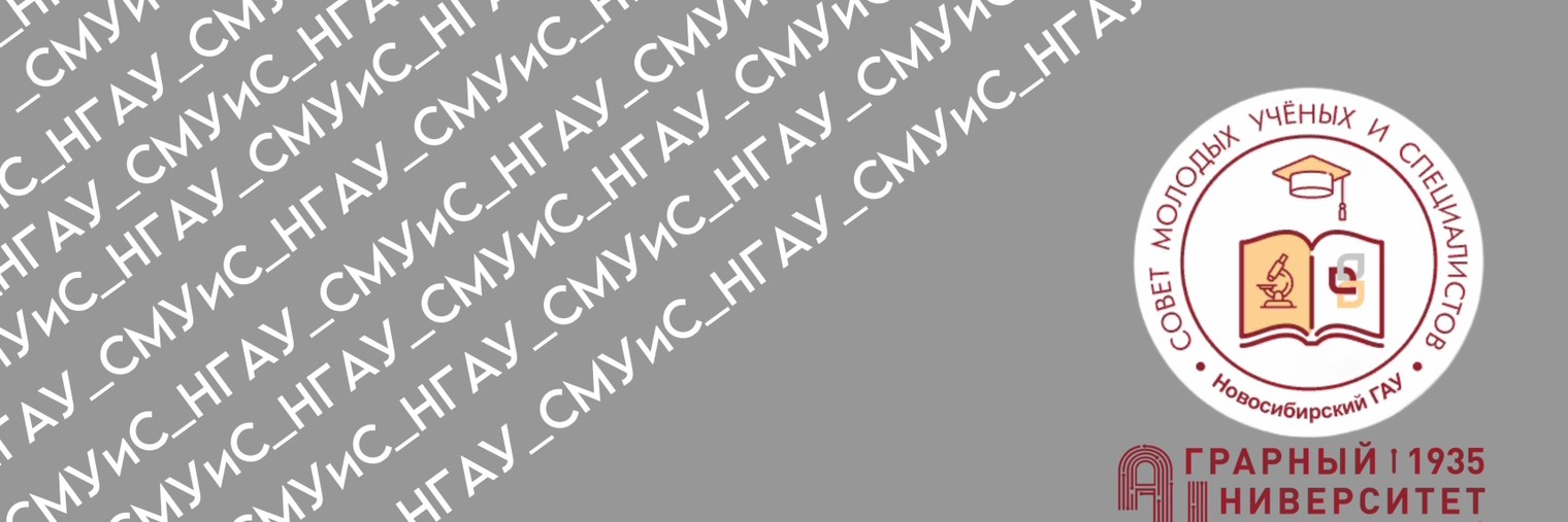 СМУиС НГАУ
