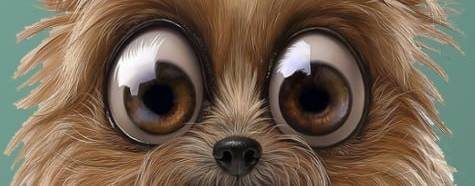 Лохматый life