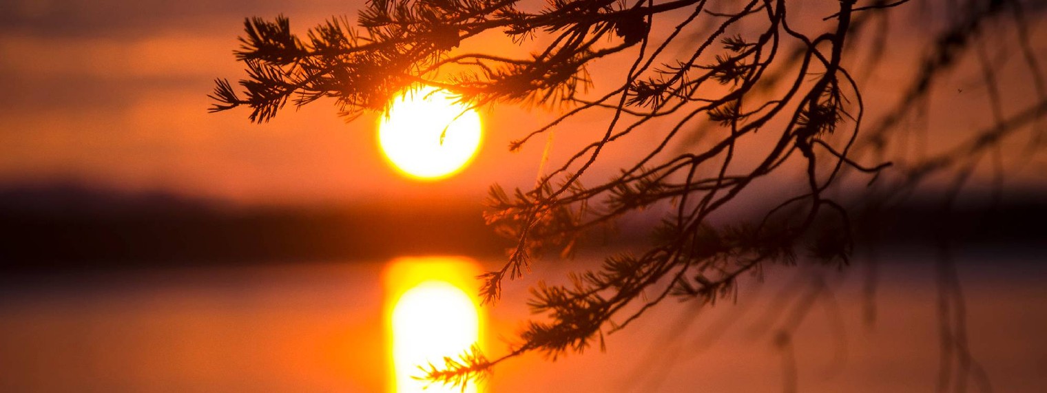 Путешествия и природа