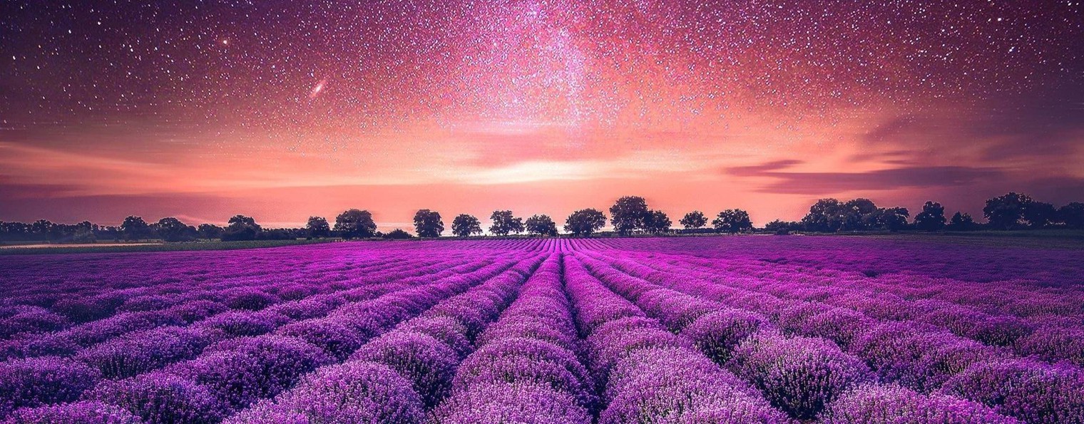 Этот чудесный дивный мир!