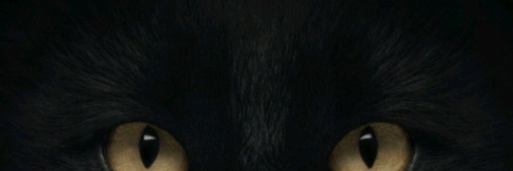 𝓐𝓰𝓷𝓲𝔂𝓪 𝓵𝓲𝓴𝓮