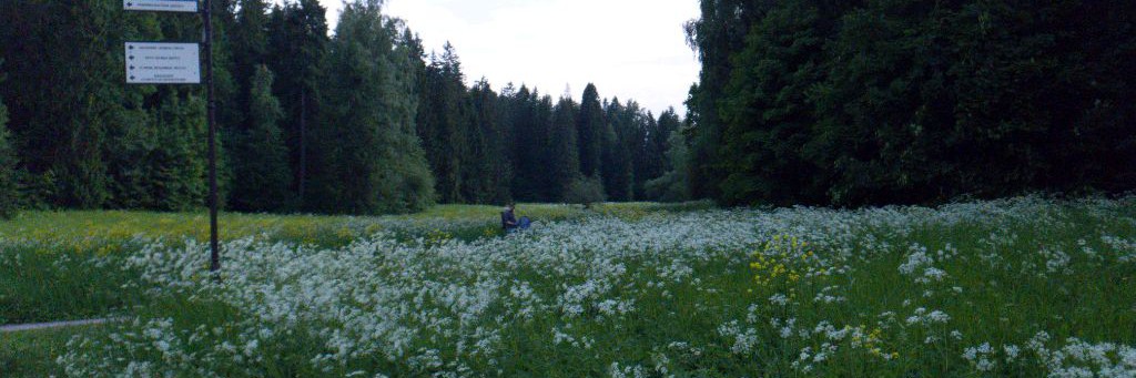 насекомые России.