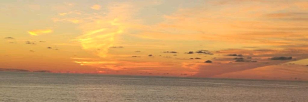 Моя ПриРода