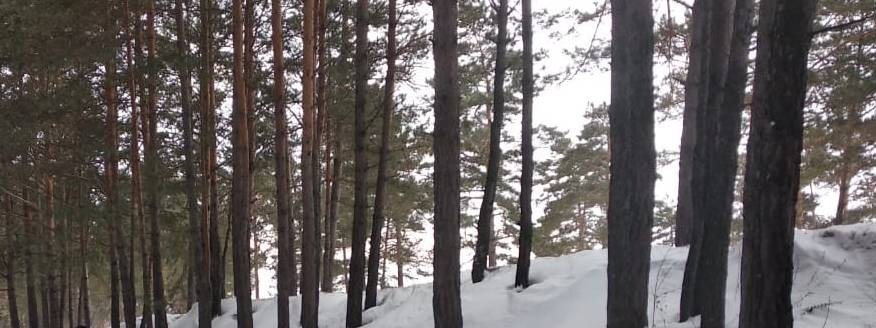 Наталия Ивановна