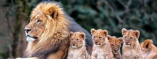 Космическая Гравитация