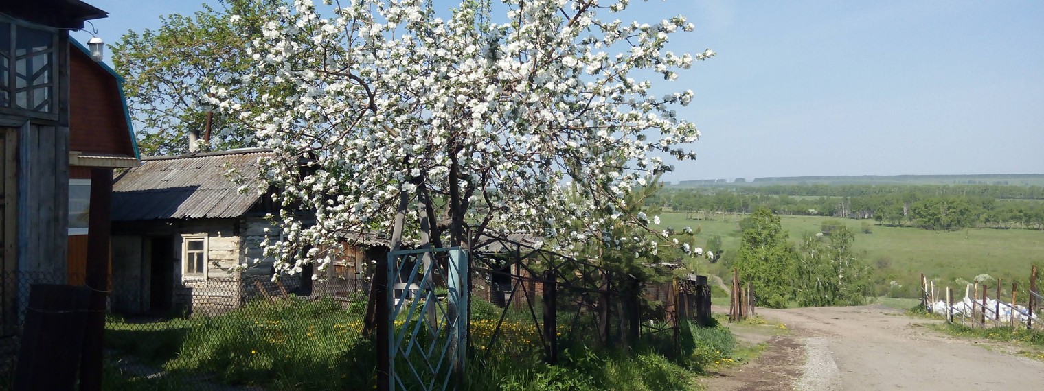 Zhekson