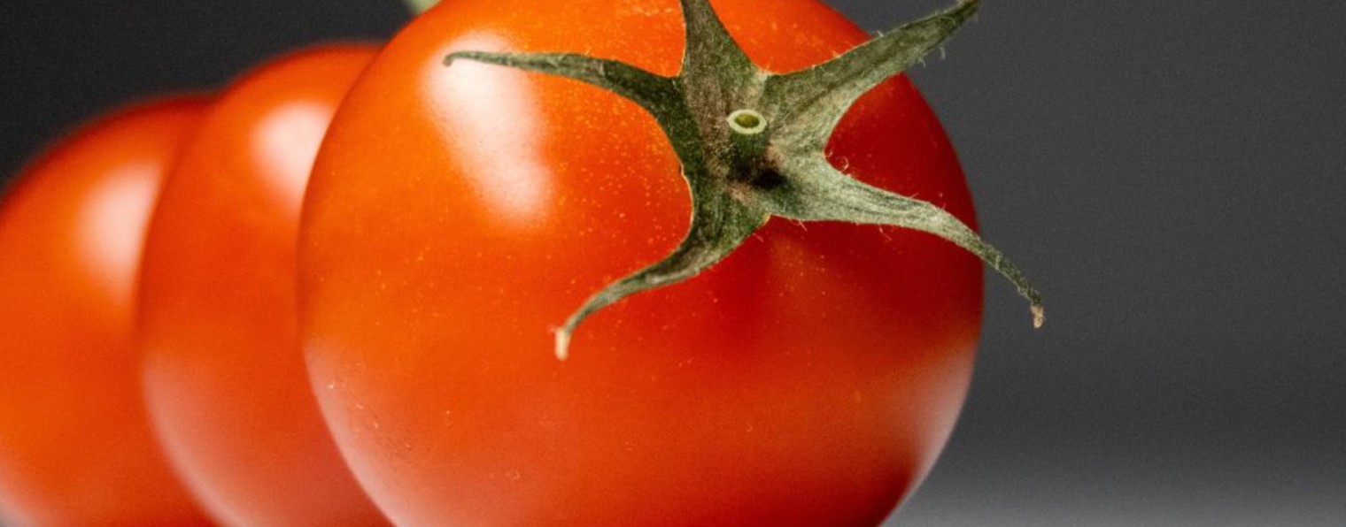 Нина Бородина