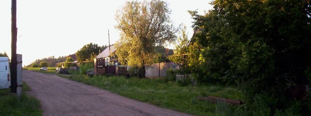 Дачная жизнь